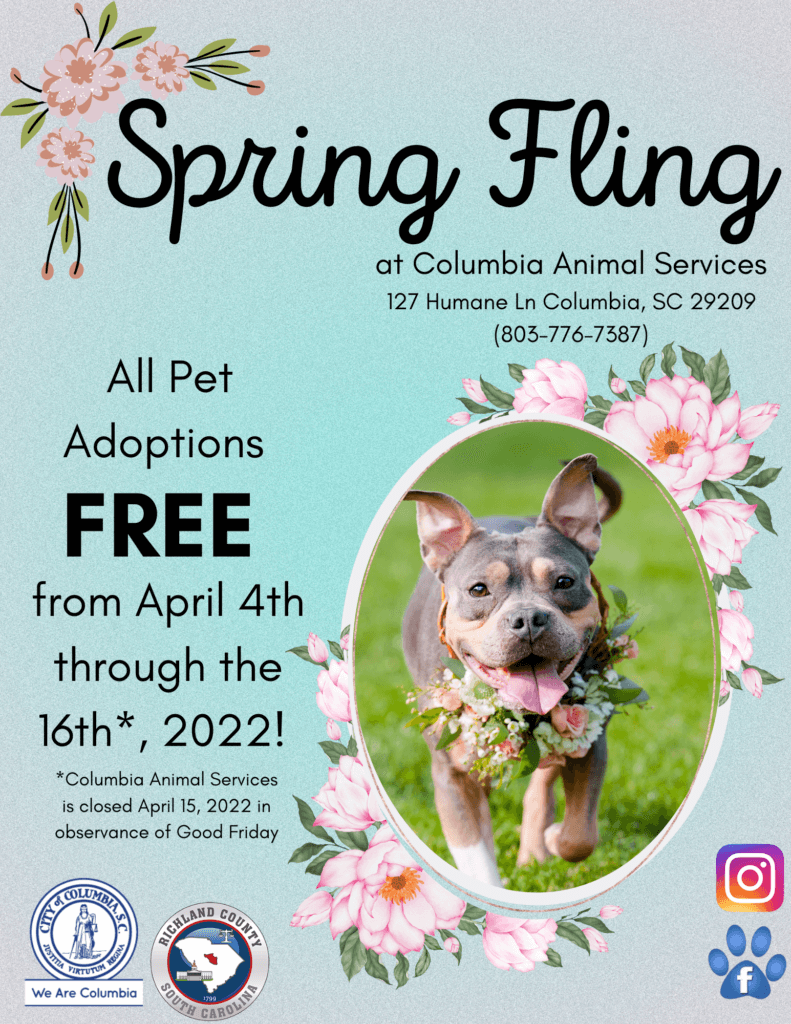Columbia Animal Services Offers Free Adoptions During Spring Fling ...