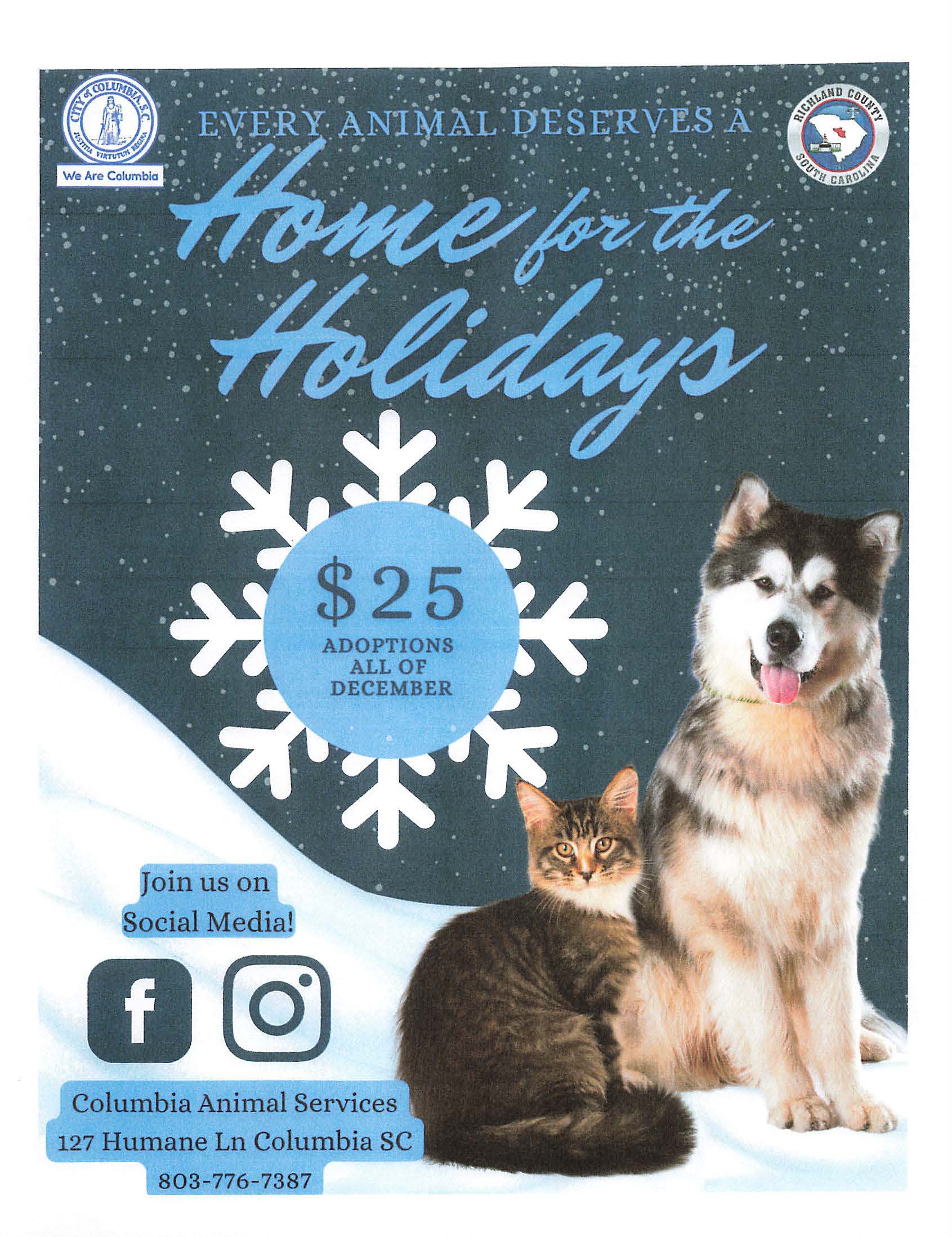 Home for the Holidays Adoption Special - City of Columbia, Columbia SC