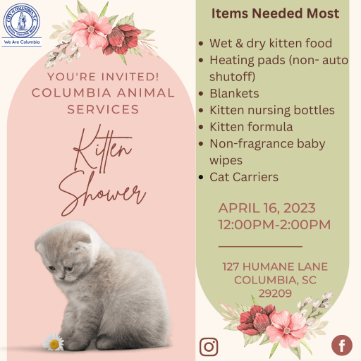 Columbia Animal Services Hosting Kitten Shower - City of Columbia ...