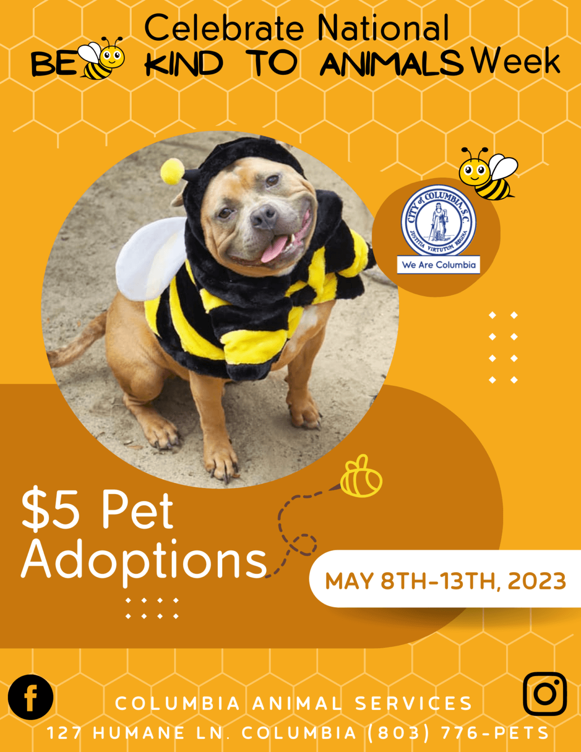 Celebrate National Be Kind to Animals Week - City of Columbia, Columbia SC