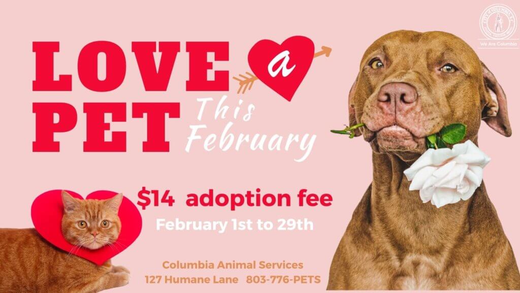 Love A Pet Adoption Special - City of Columbia, Columbia SC