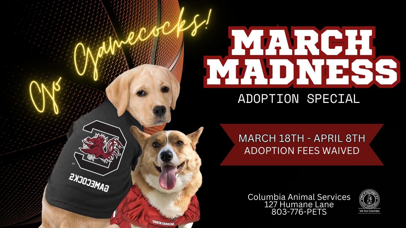 March Madness Adoption Special - City of Columbia, Columbia SC