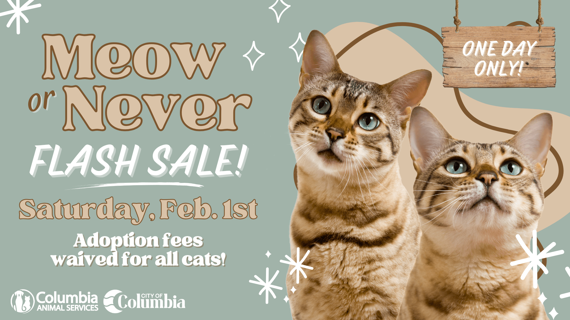 Columbia Animal Services Provides Two FREE Adoption Events this Weekend ...
