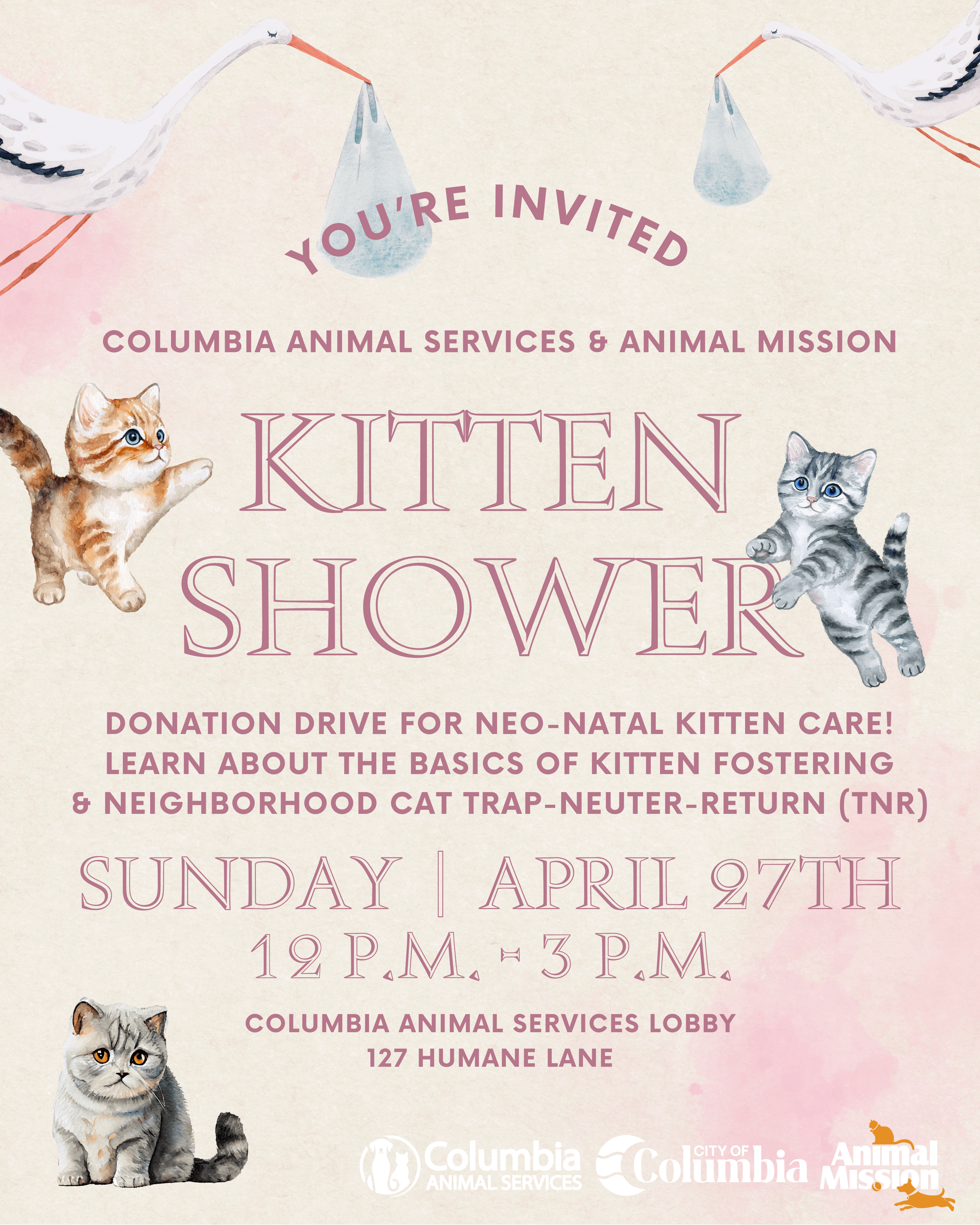 Kitten Shower Donation Drive - City of Columbia, Columbia SC