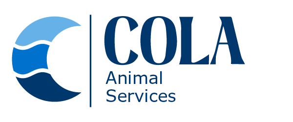 City of Columbia to host Animal Services Hiring Fair - City of Columbia ...